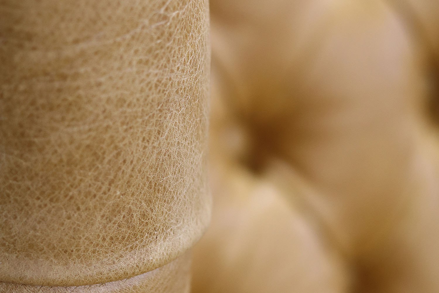 Tetrad Mackenzie Harris Tweed Wing Chair | Furniture World